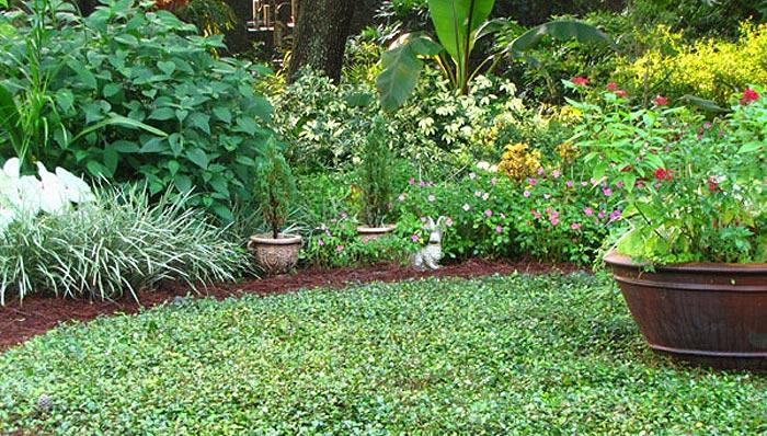 How to Make Your Yard Sustainable | Whitehouse Landscaping