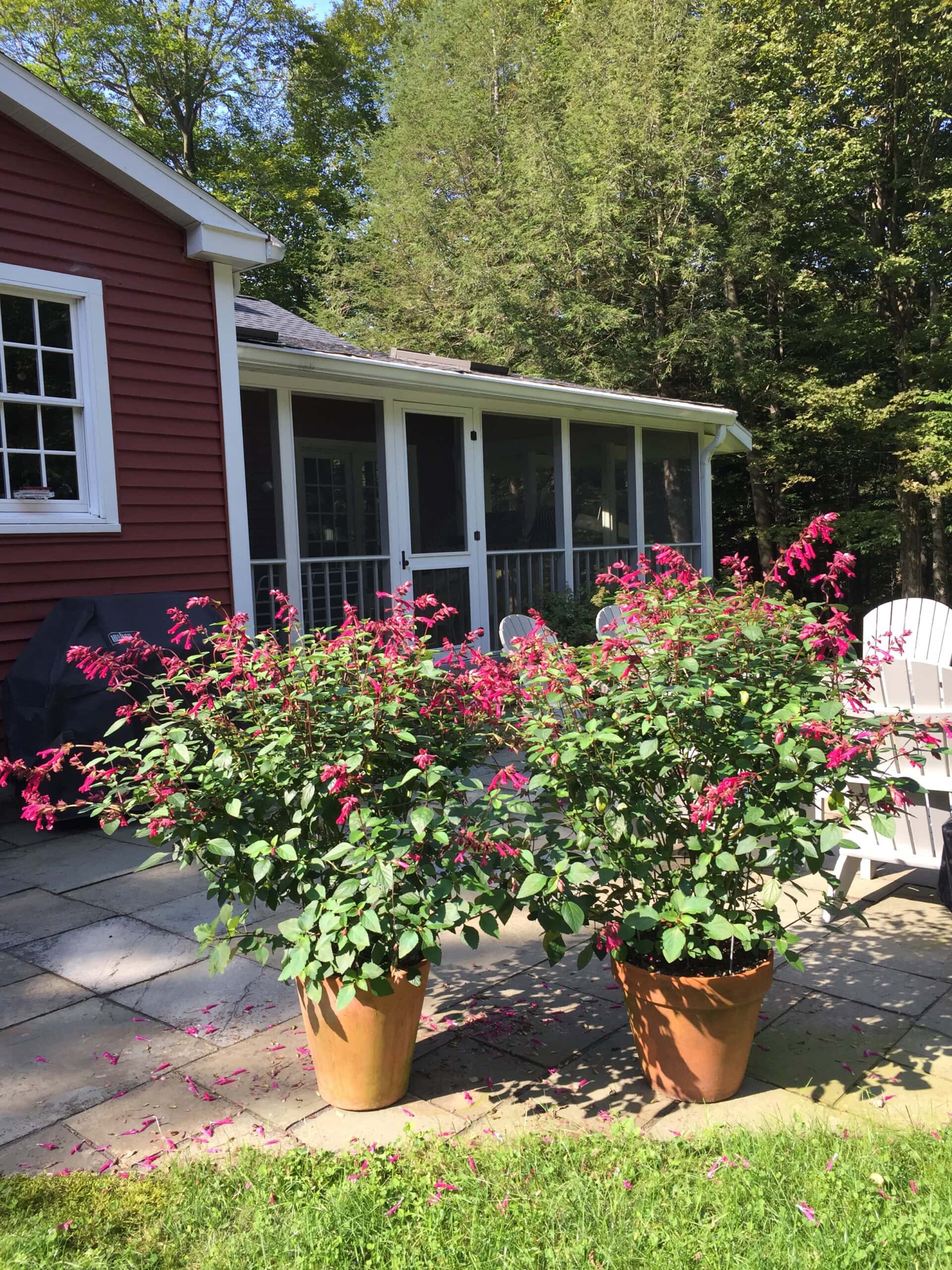 Landscaping Trends for 2025: What's "In" for Outdoor Living and Design ...