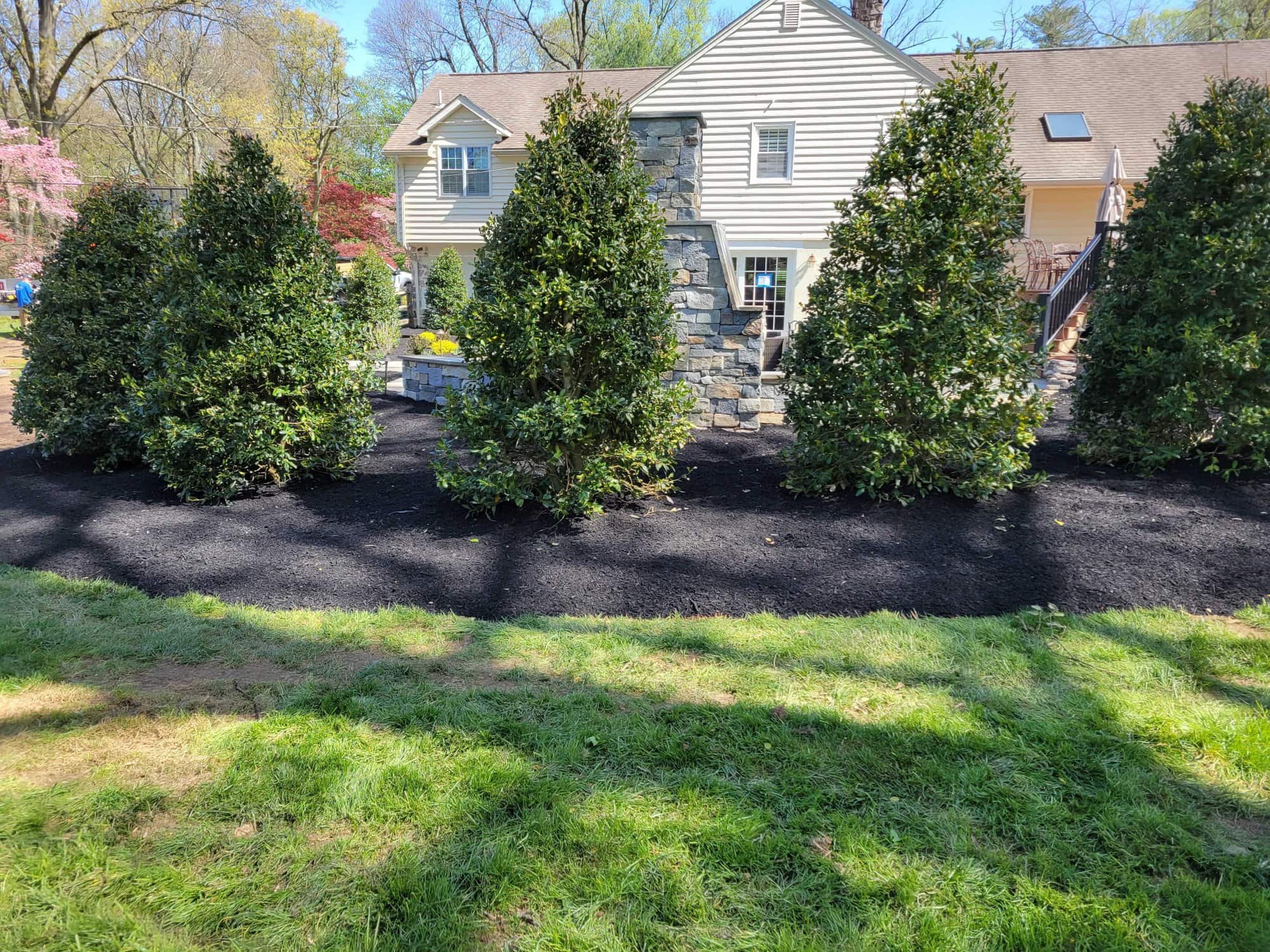 How to Create Privacy in your Gilbertsville, PA Backyard - Whitehouse ...