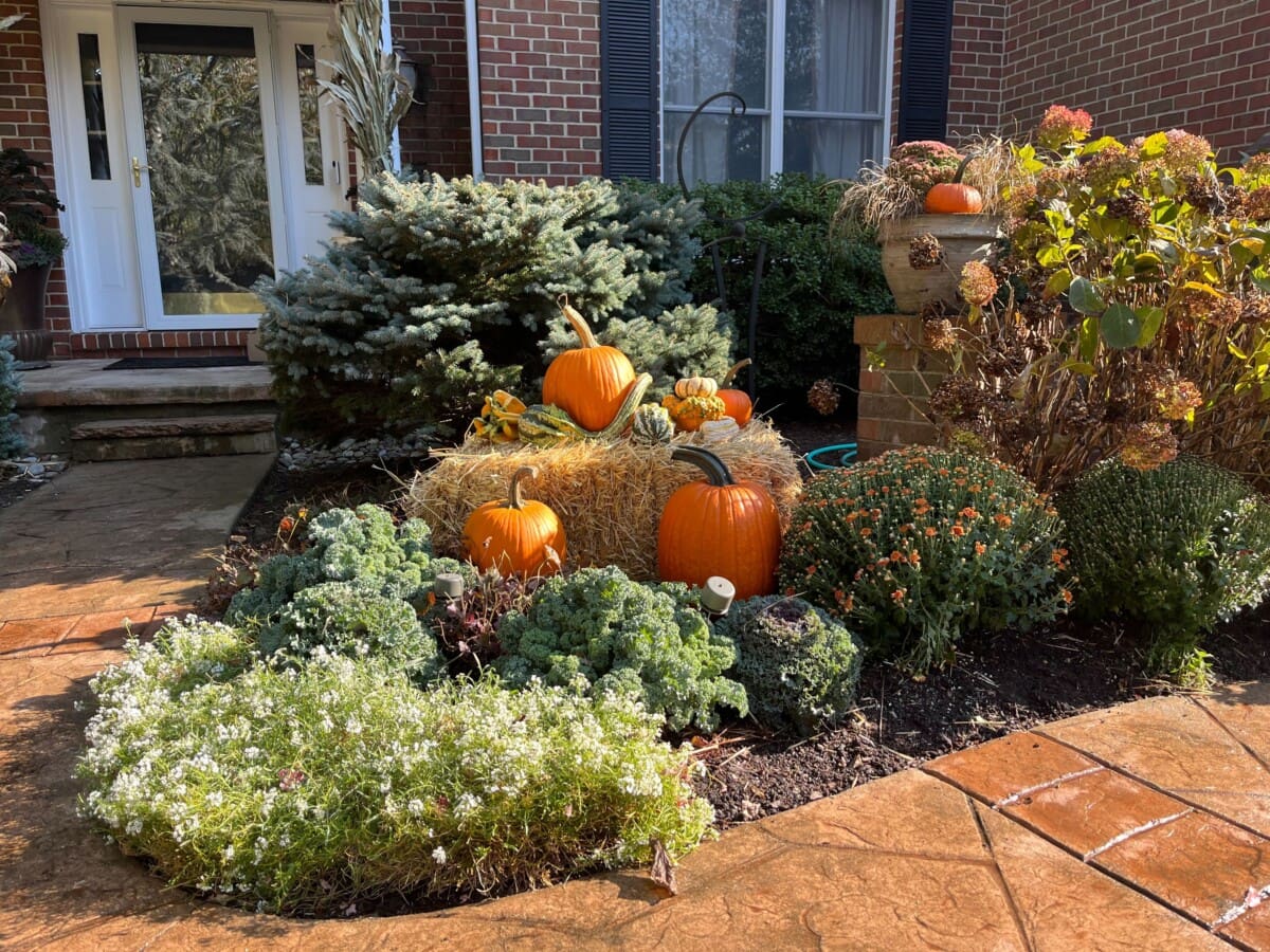 Savor the Season: Fall Fun in Your Backyard - Whitehouse Landscaping